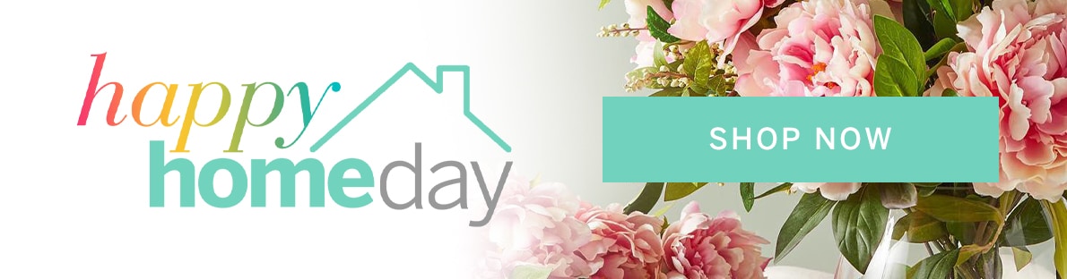 TVSN - happy home