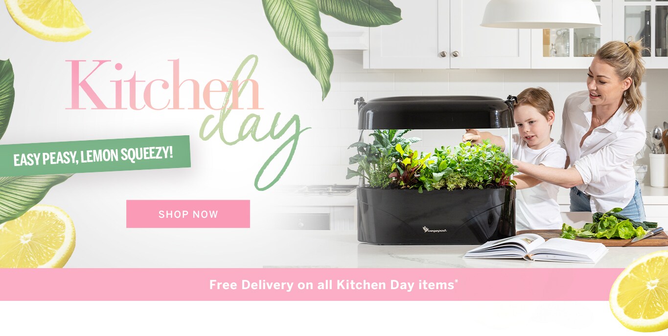 TVSN Kitchen Day 2023