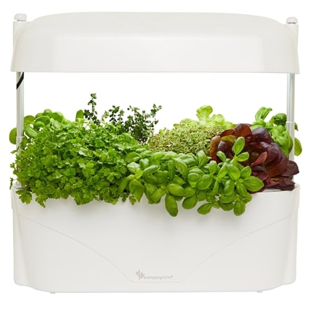 TVSN - Vegepod Kitchen Garden