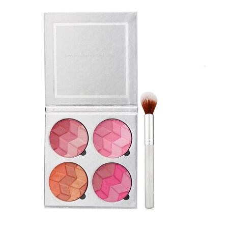 TVSN - PUR 4-in-1 Blush Book with Brush